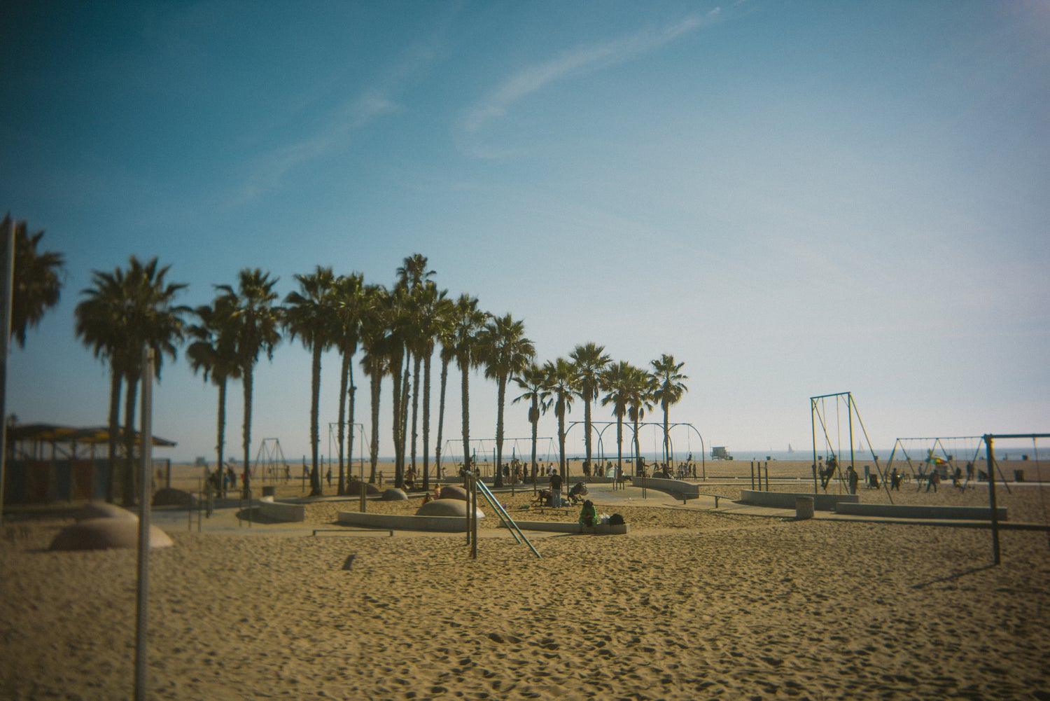 Disposable Camera Presets 1.0 - Payhip