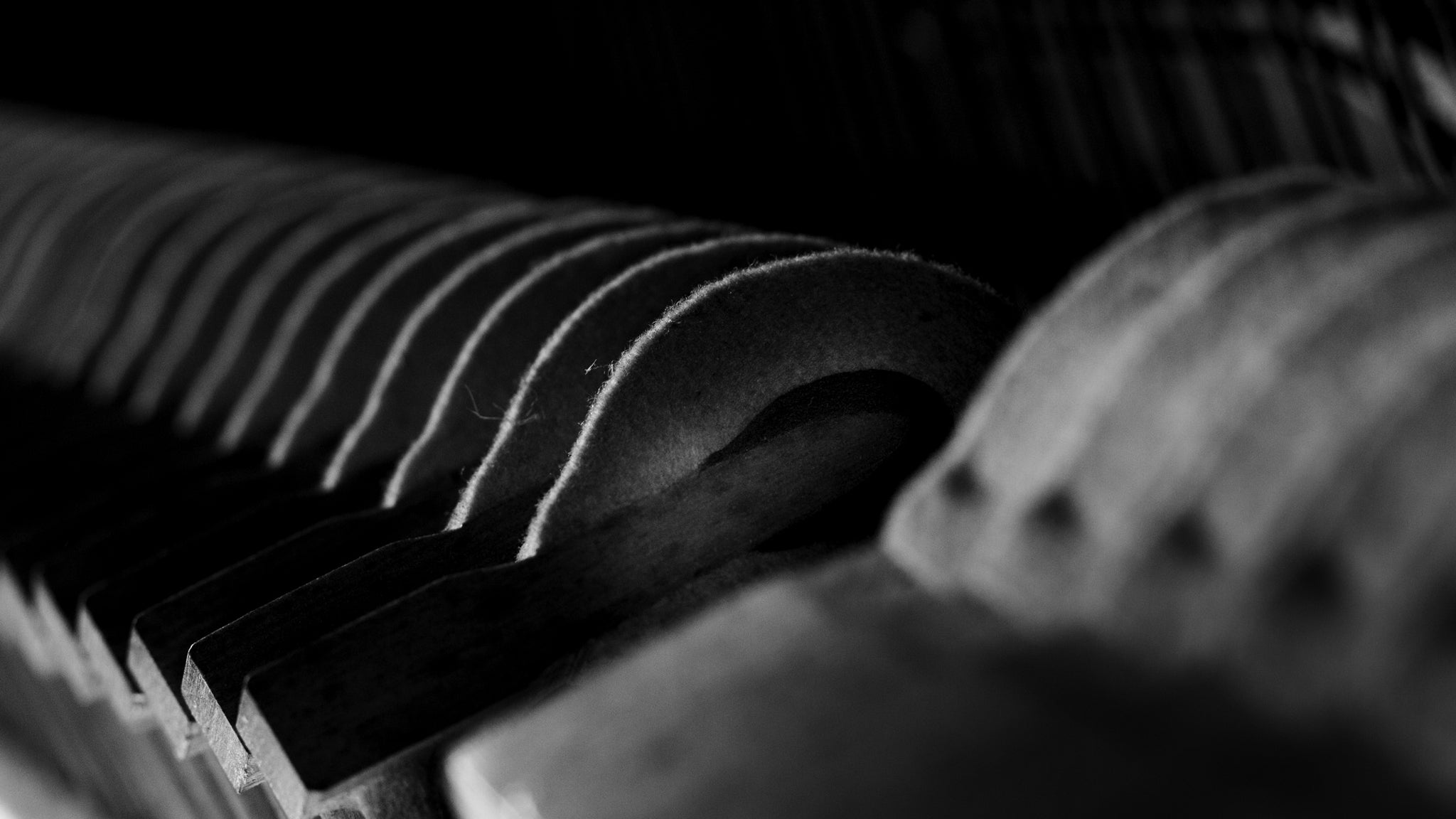 Clockwork Monkey Sample Libraries