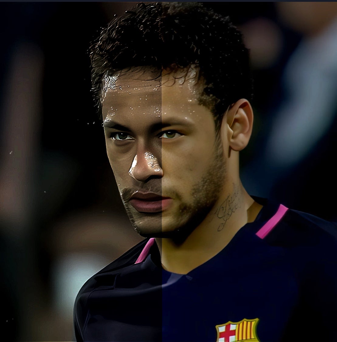 .leaoamp cold cc (am) - Payhip