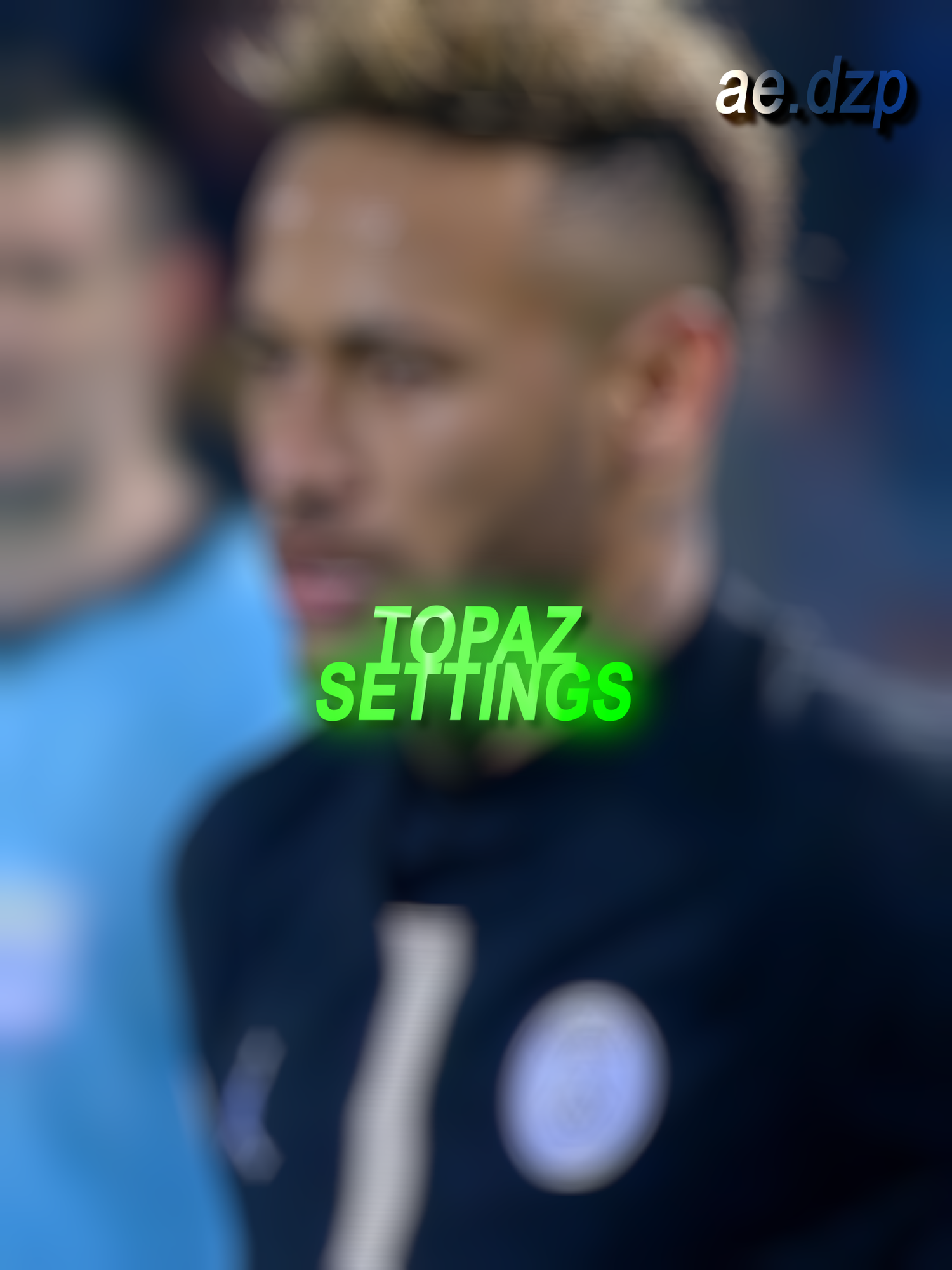 ae.dzp Topaz settings - Payhip