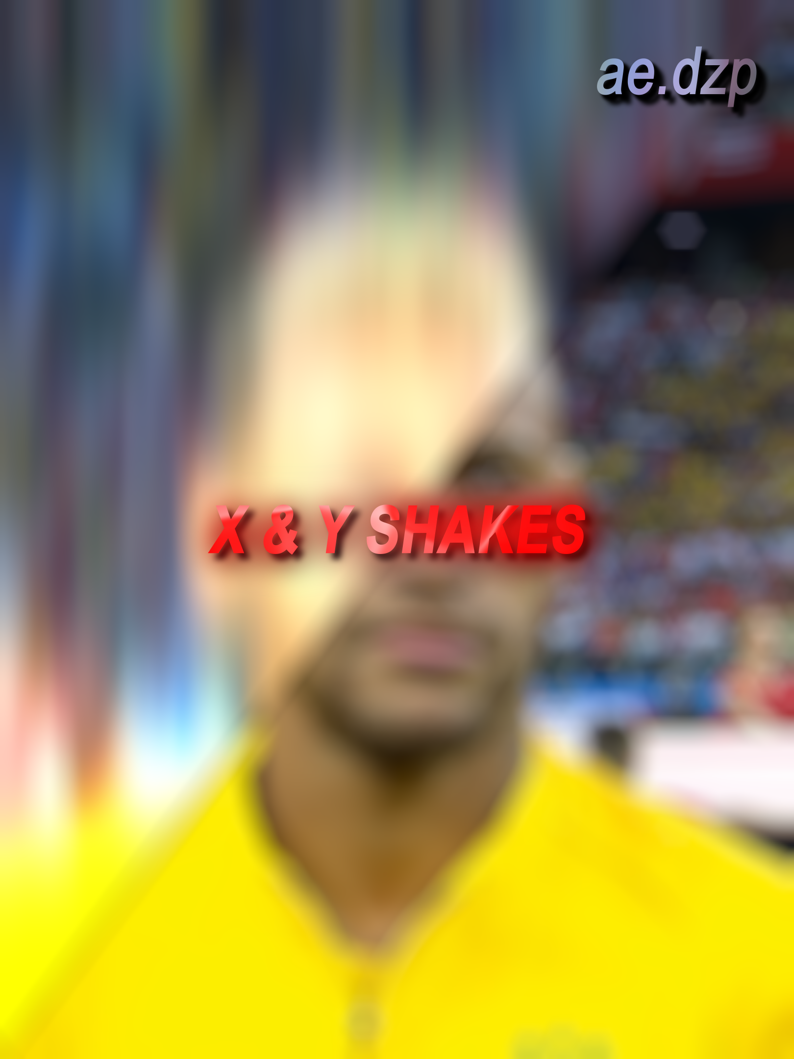 ae.dzp x & y shake - Payhip