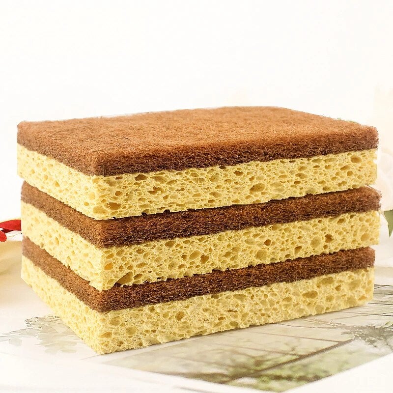 10ct Coconut Fiber Sponge - Payhip