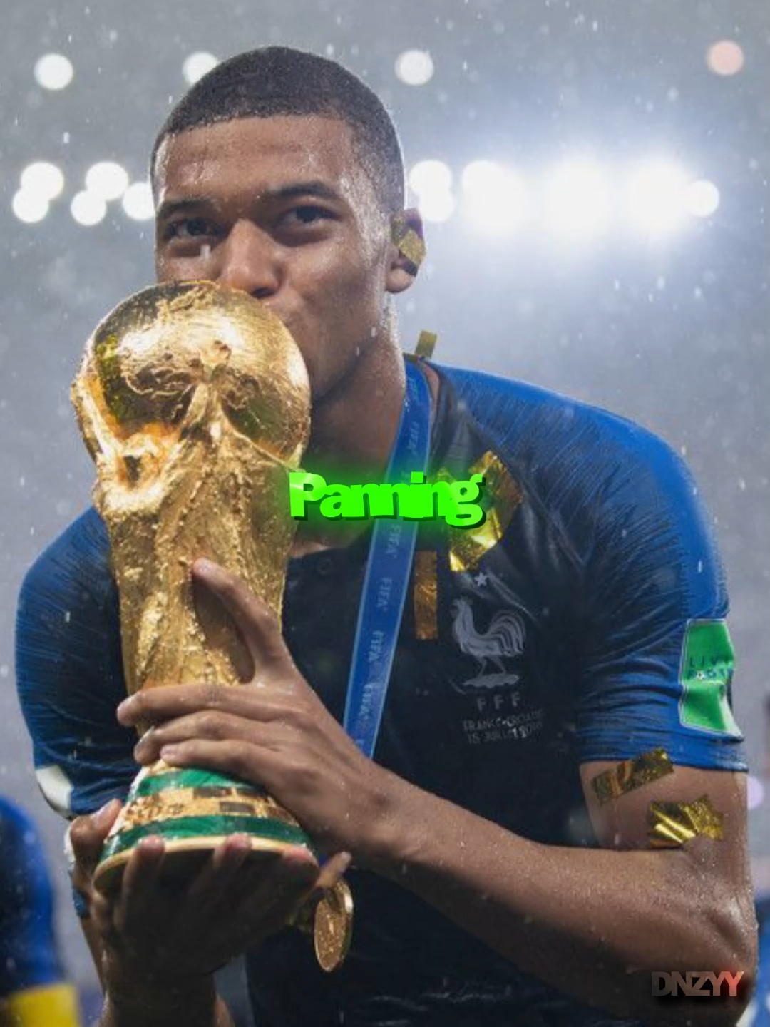 Dnzyy's Panning - Payhip