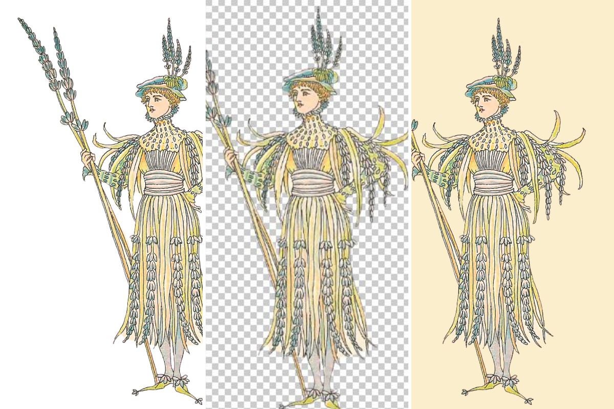 Lavender Illustration Flower, Lavender Illustration - Payhip