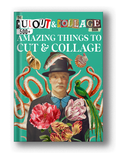 The Cut & Collage Books Collection