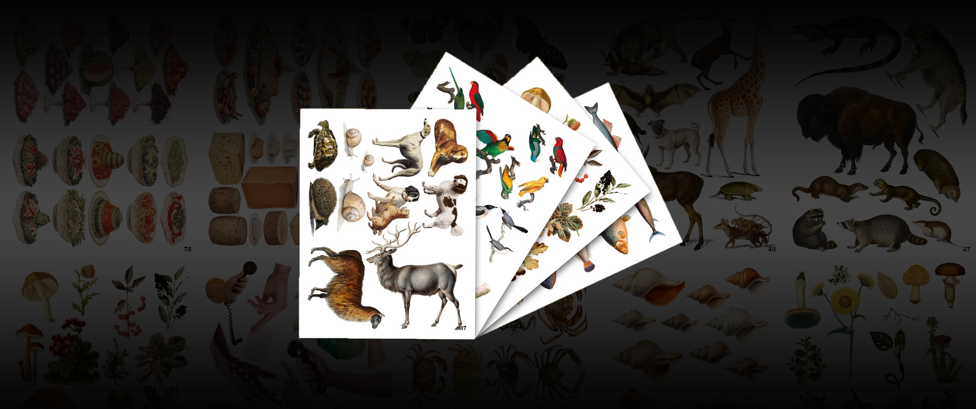 Collage Heaven - Collage Kits, Elements, Books & Resources