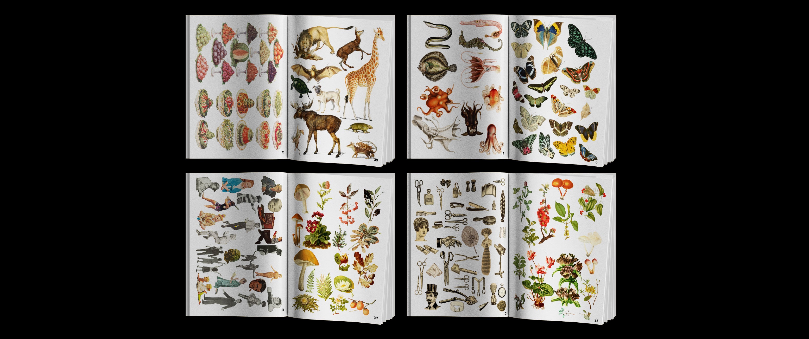 Collage Heaven - Collage Kits, Elements, Books & Resources