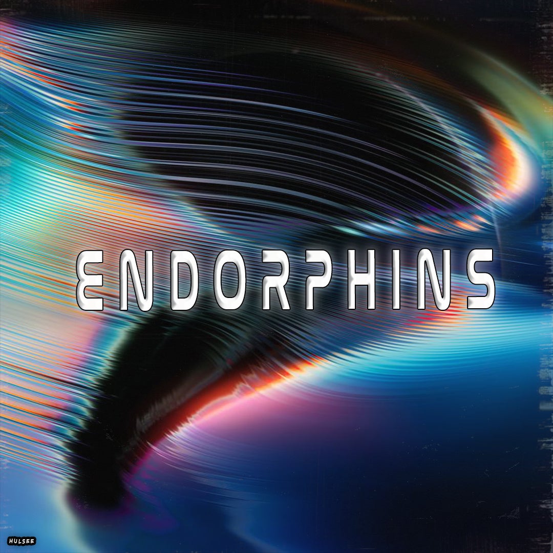 Endorphins - Drill Guitar Loop Kit - Payhip