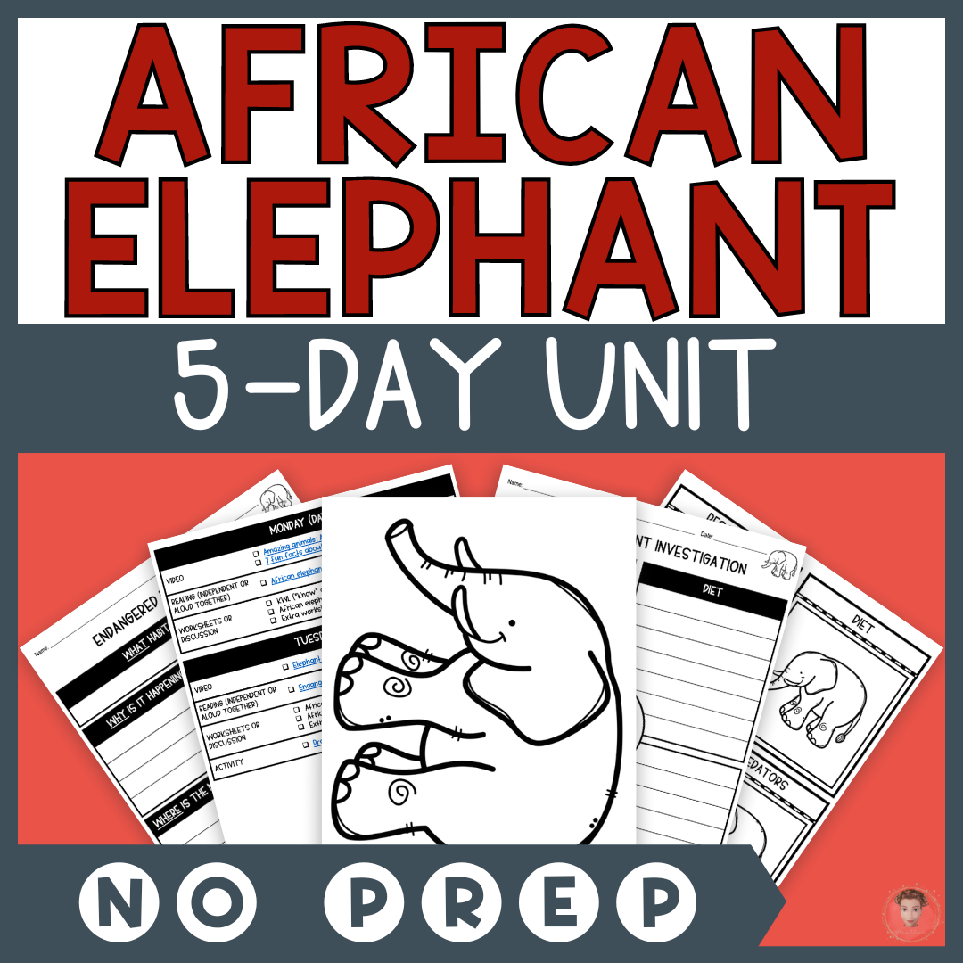 African Elephant Unit Study (Endangered Animals Lesson Plan, Videos ...
