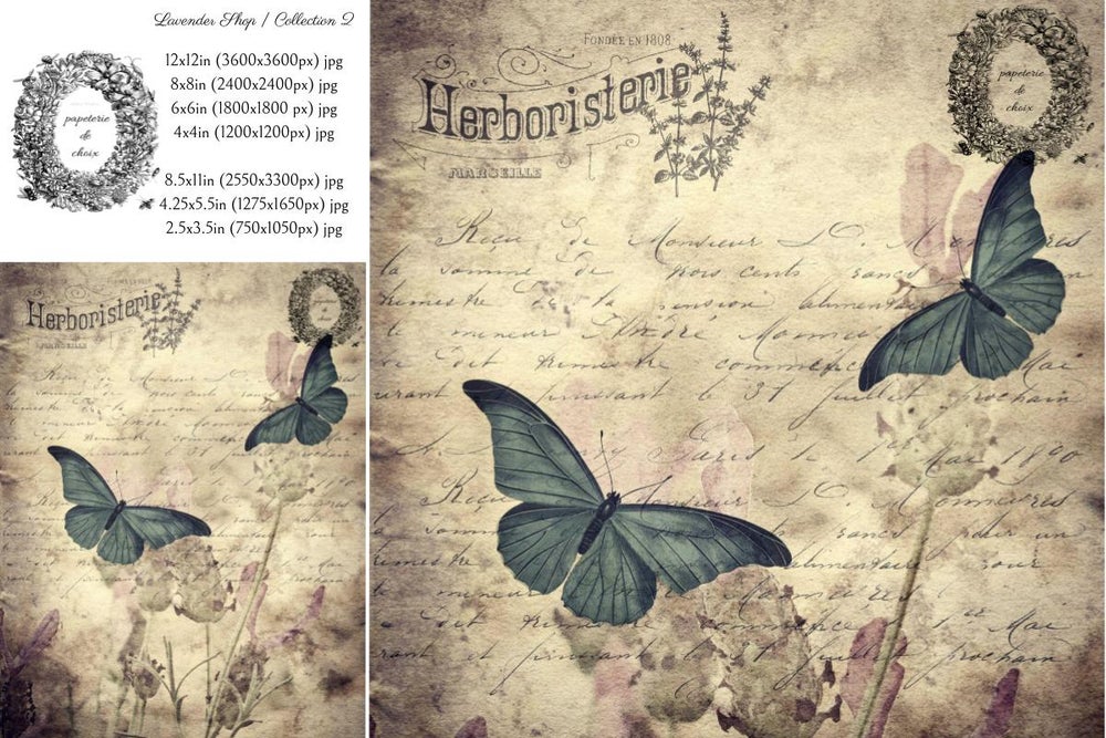 Lavender Perfume 3 - Payhip