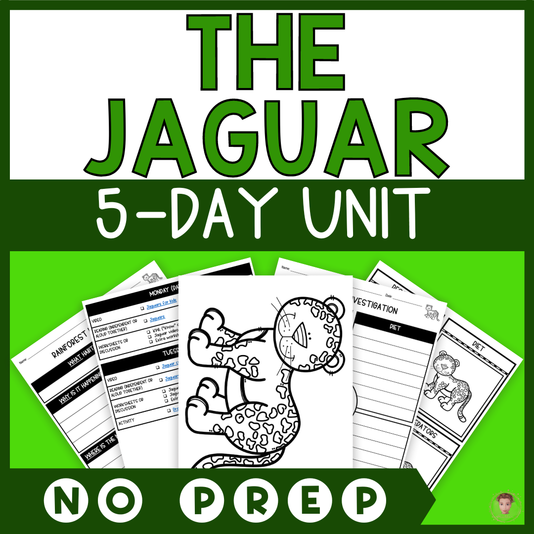Jaguar Unit Study (Rainforest Animals Lesson Plan, Videos, Activities)