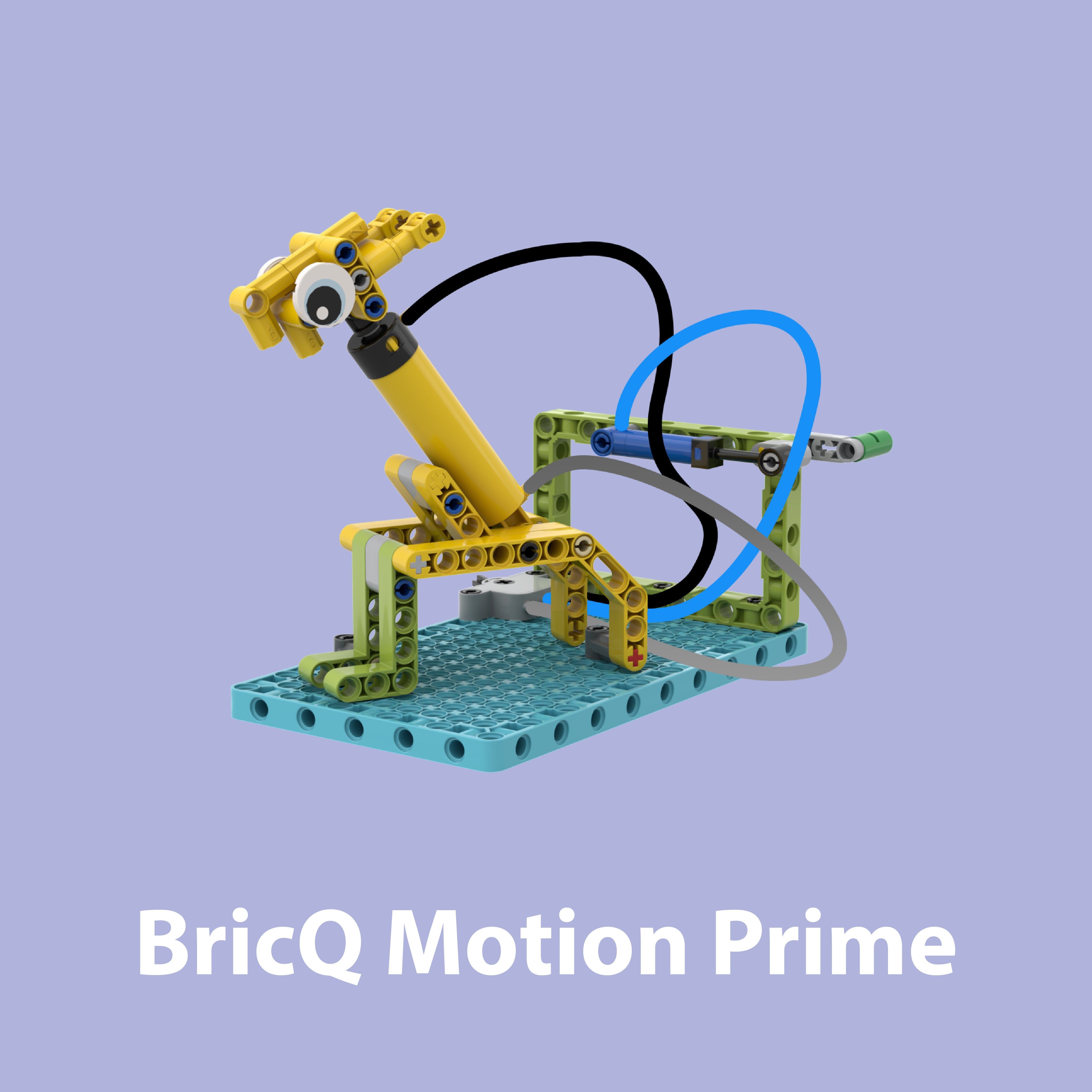 Flip Creation