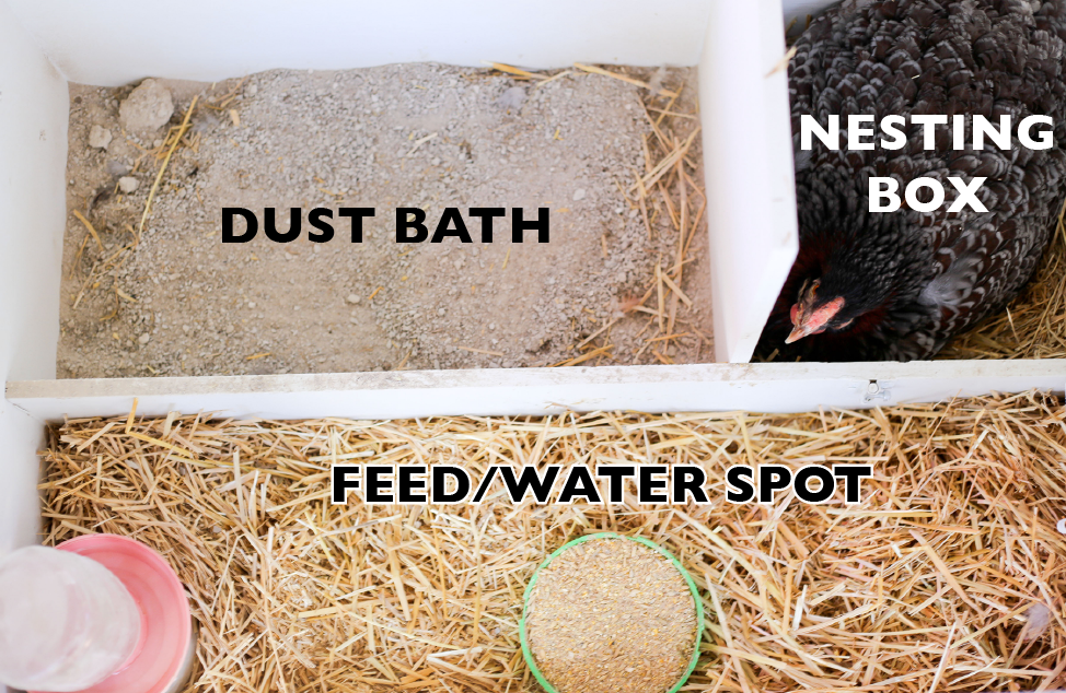 Brooder Box Build Plans - Payhip