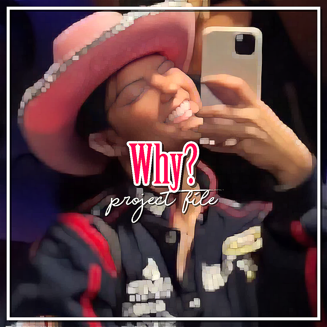 Why? Project File - Payhip