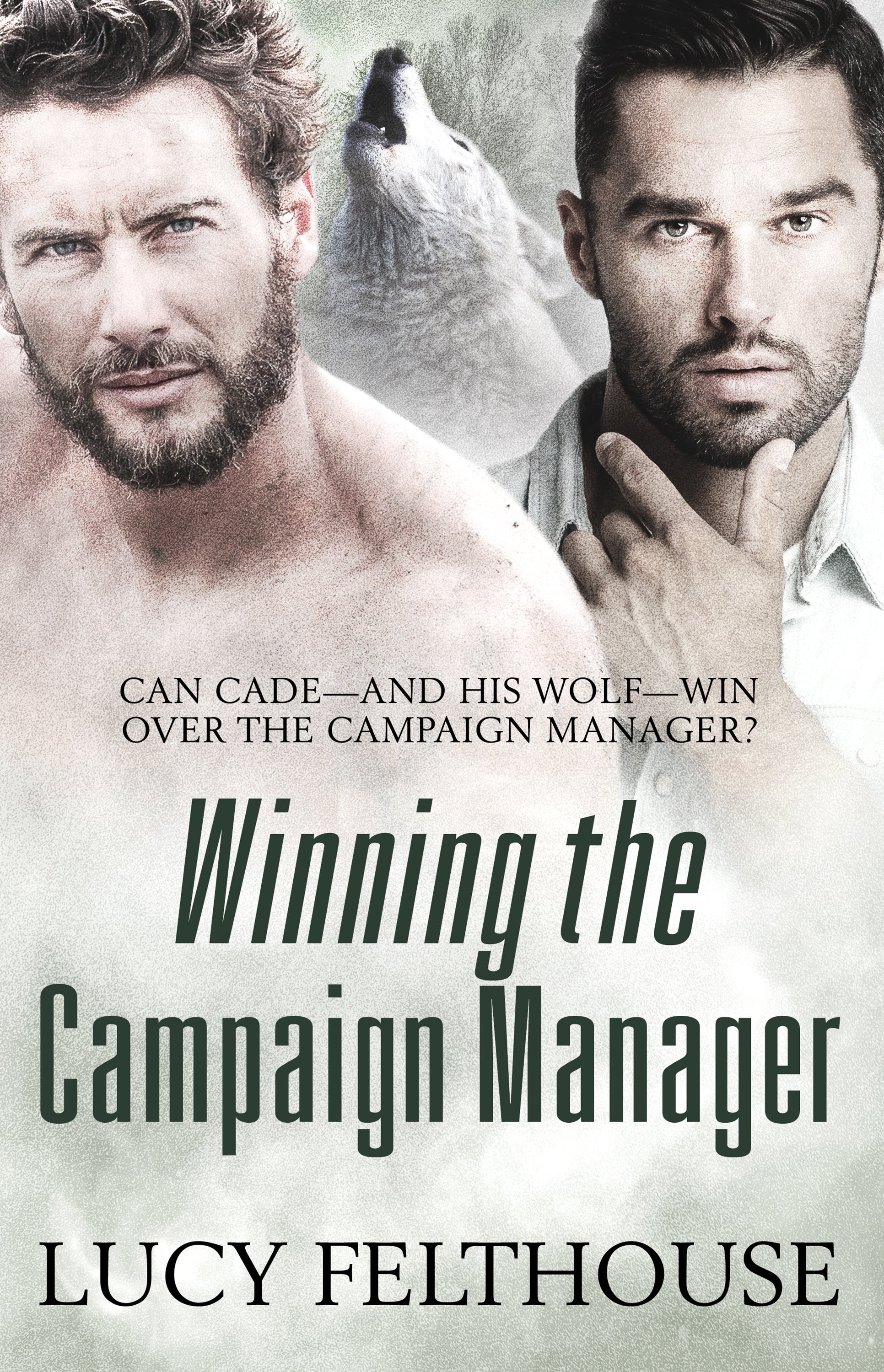 Winning the Campaign Manager: A M/M Werewolf Erotic Romance - Payhip