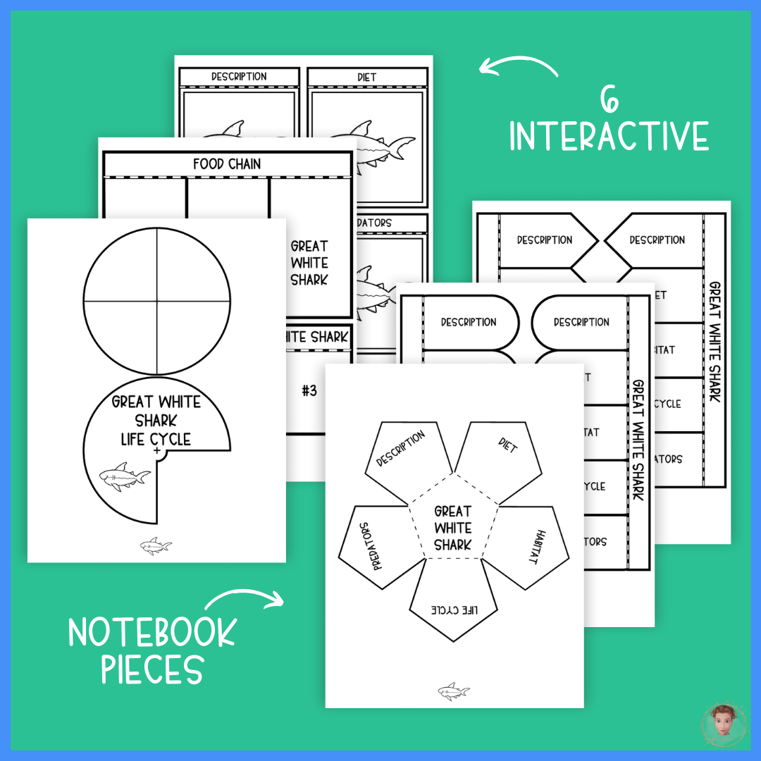 Great White Shark Unit Study (Ocean Animals Lesson Plan, Videos ...
