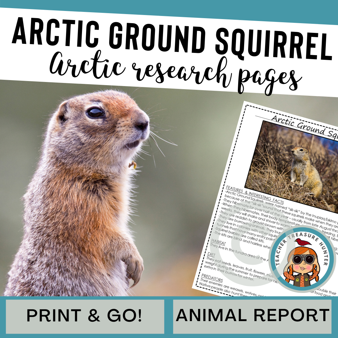 Arctic Ground Squirrel informational for animal reports first grade ...