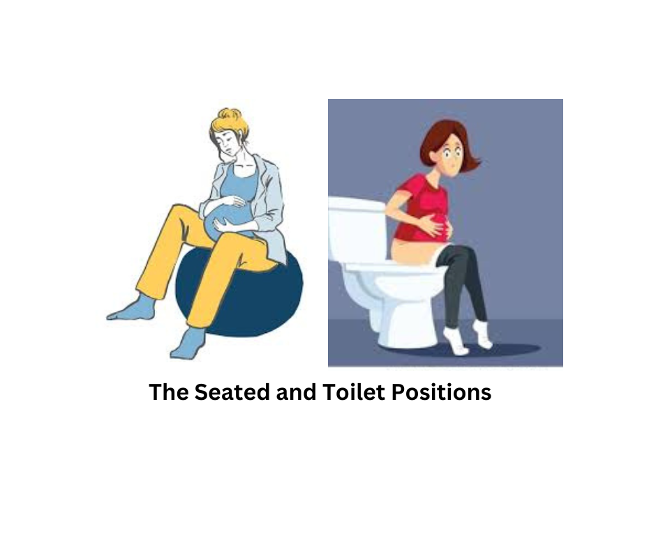 THE ULTIMATE GUIDE TO THE BEST LABOR AND BIRTHING POSITIONS FOR YOU AND ...