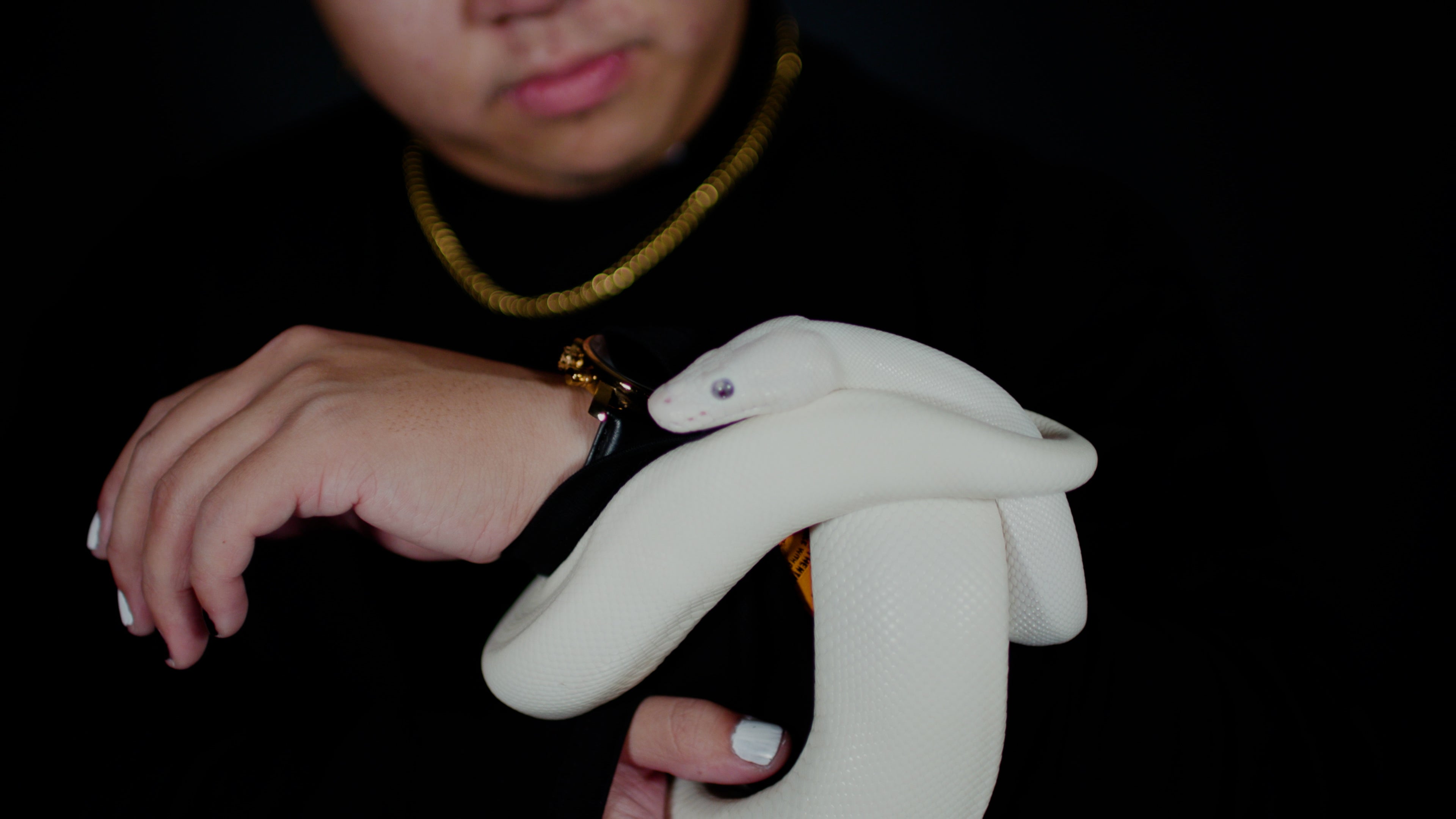 Mamba Pt. 2 Tabs Backing Track - Payhip