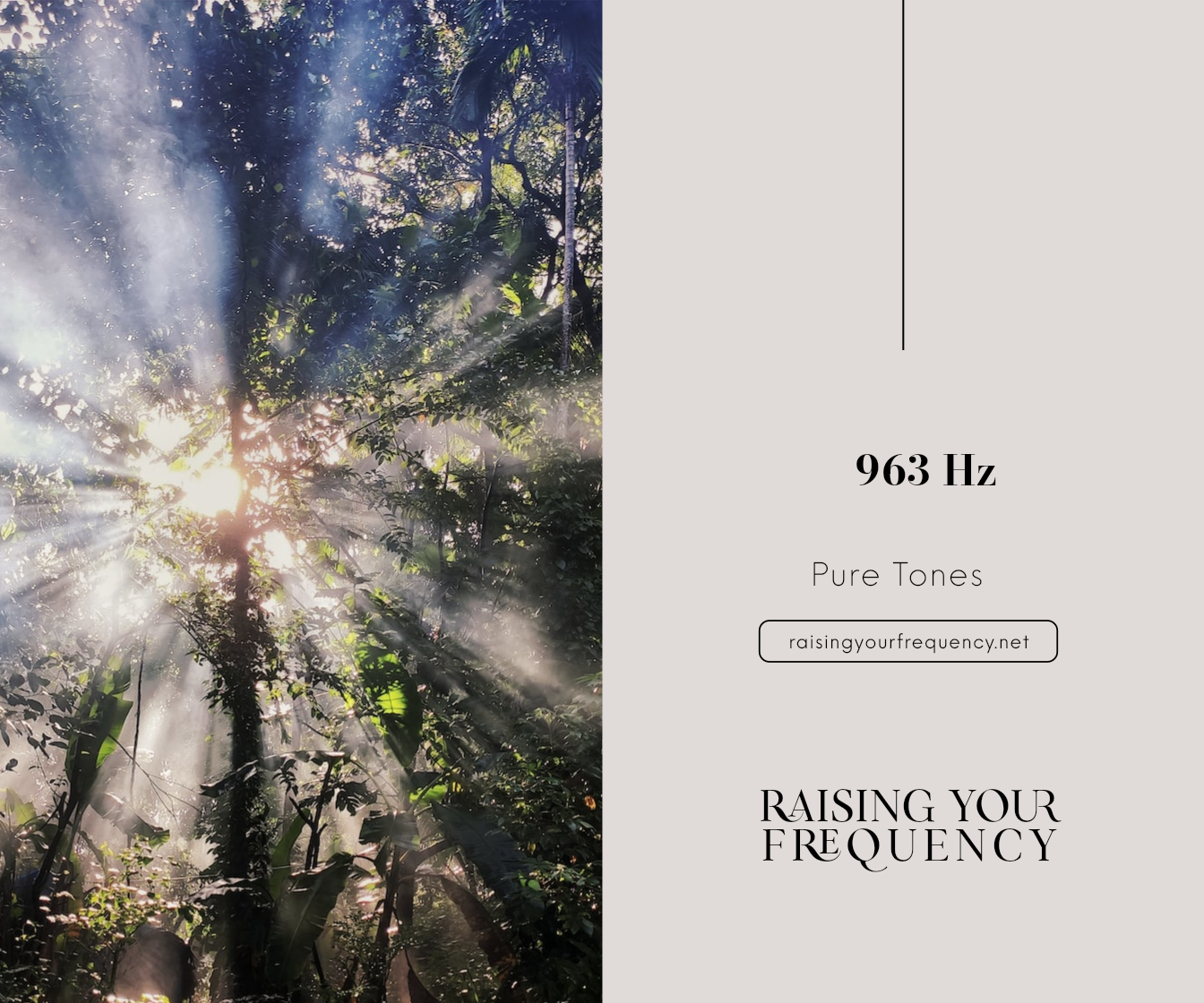 Solfeggio Frequency 963 Hz - Payhip