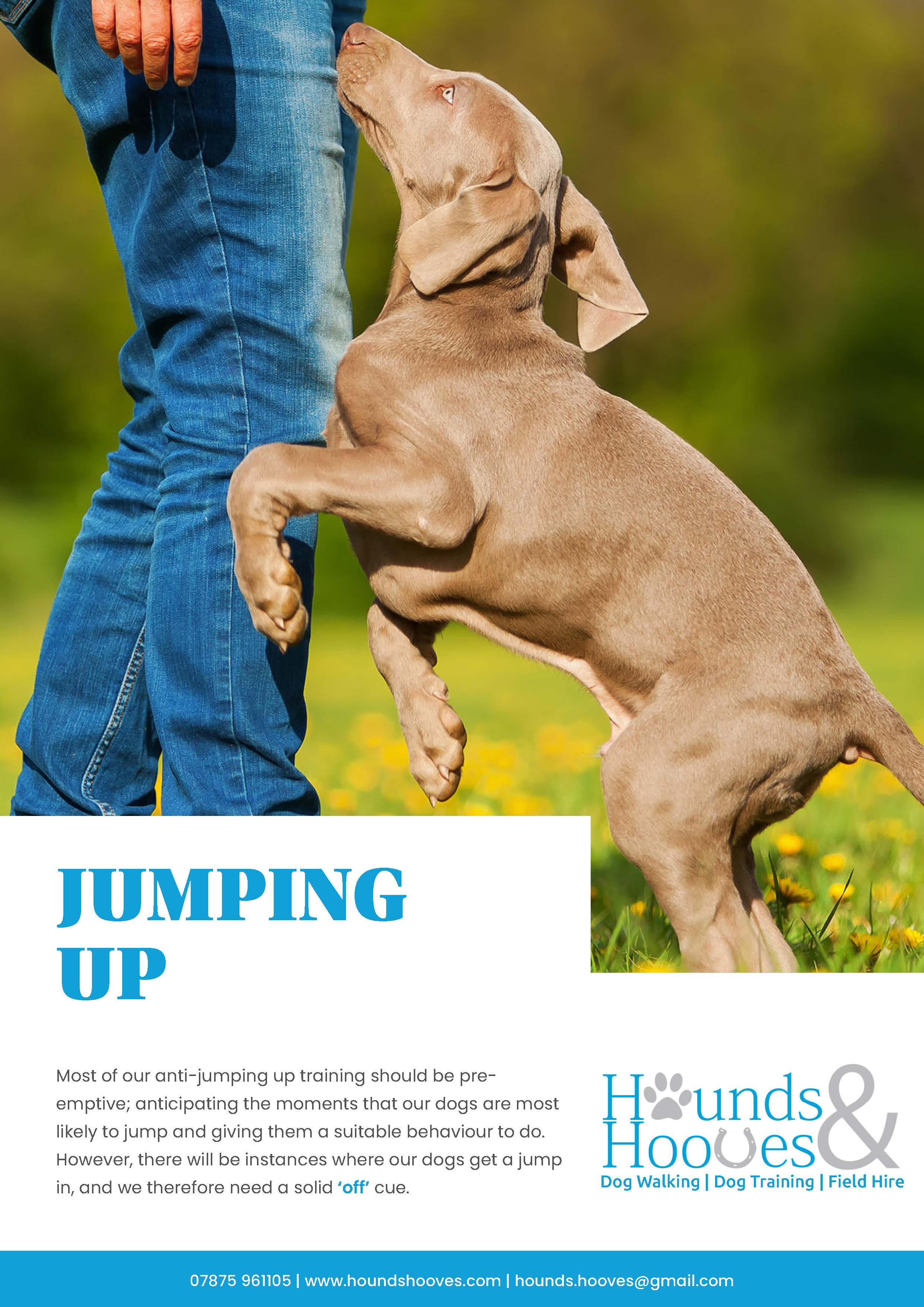 Jumping Up Tips - Payhip