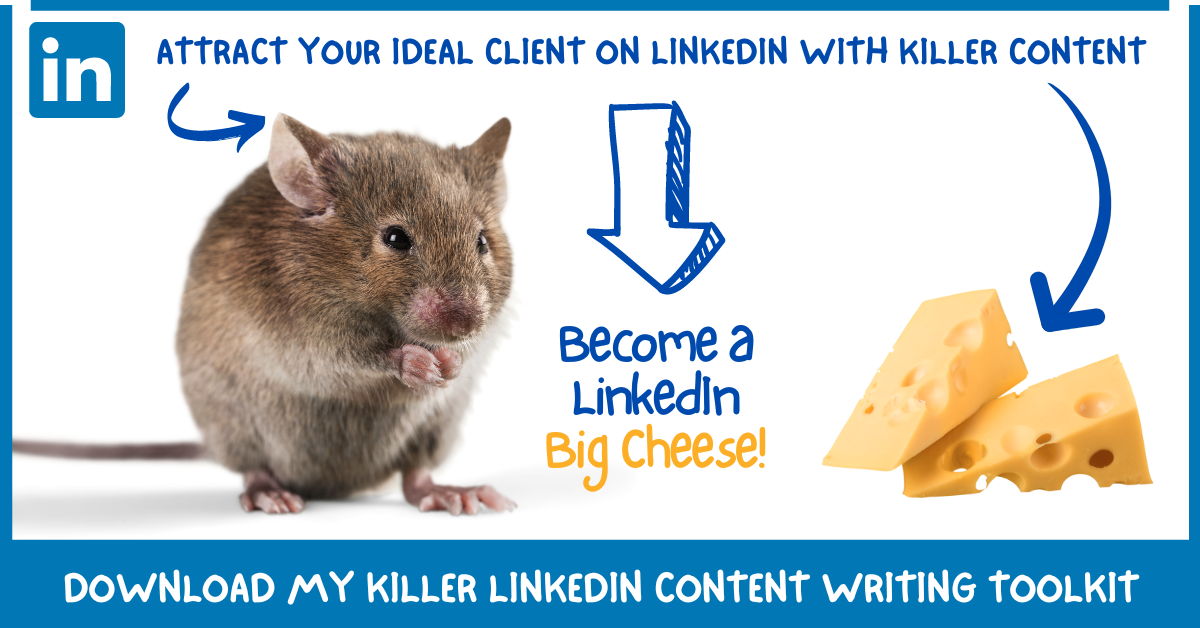 Social Media Content Planning Toolkit 2023 - Payhip