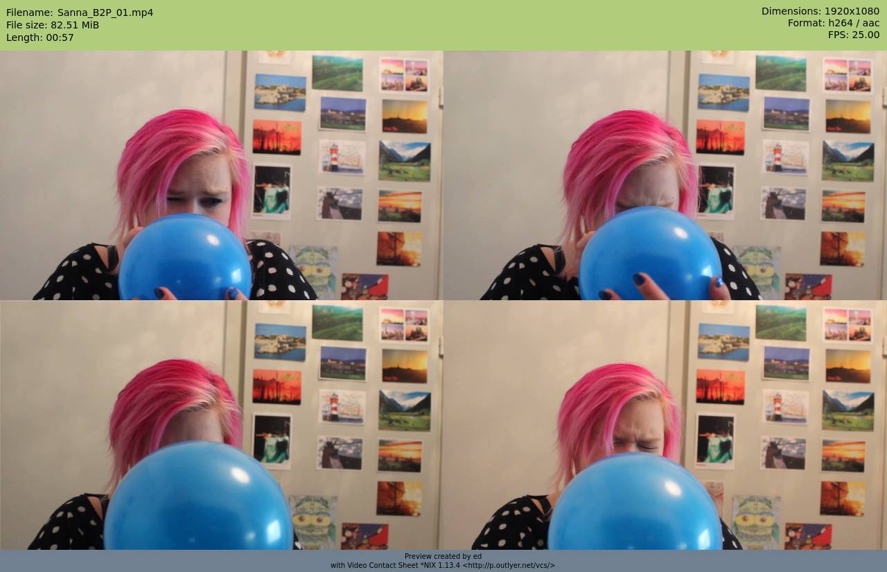 Sanna b2p 2 balloons - Payhip