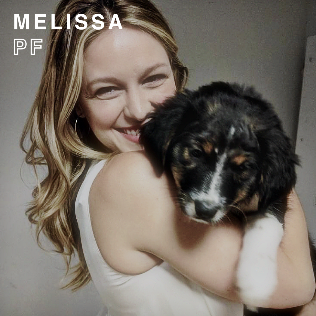 kendall jenner pf - Payhip