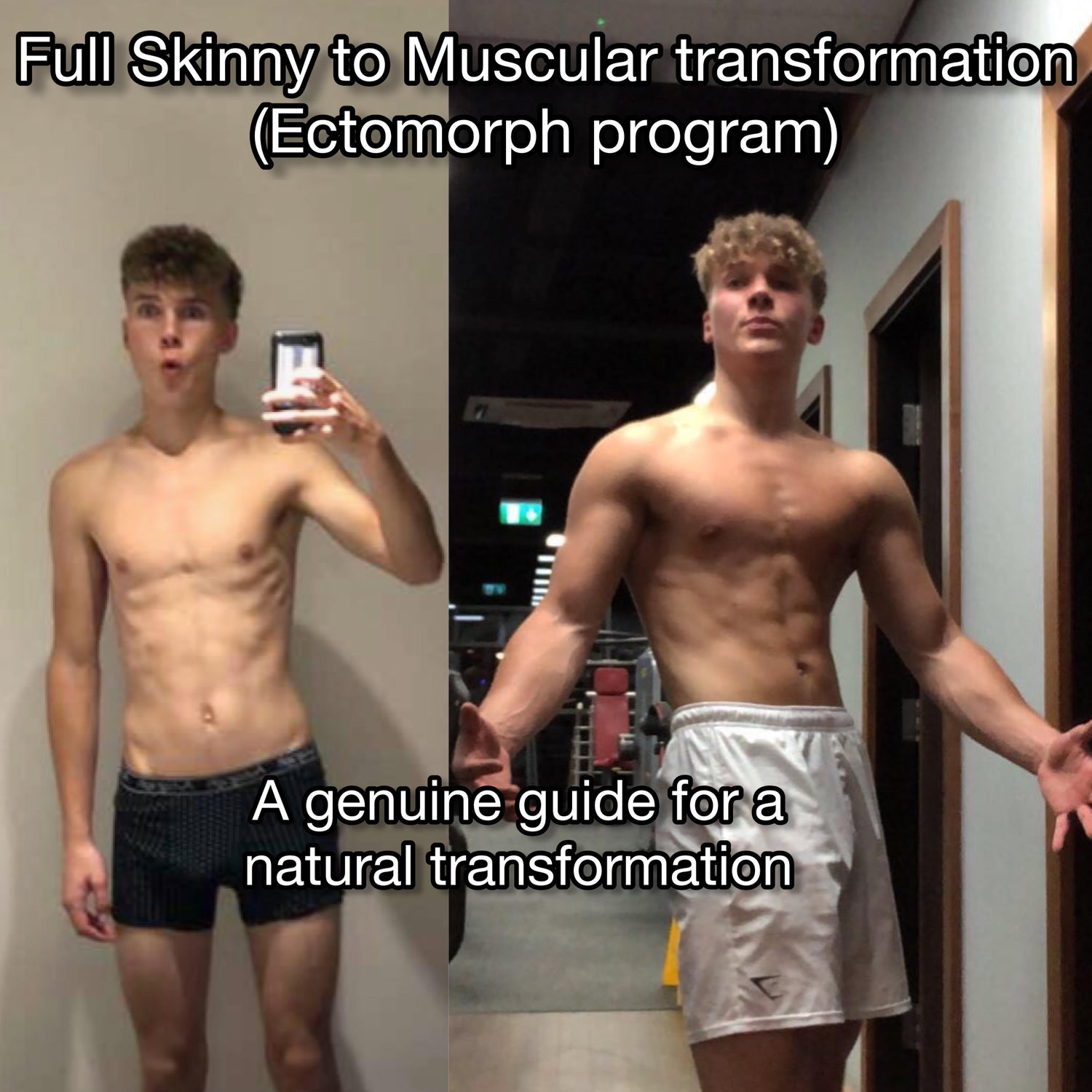 Full Skinny to Muscular transformation program (Ectomorph program) - Payhip