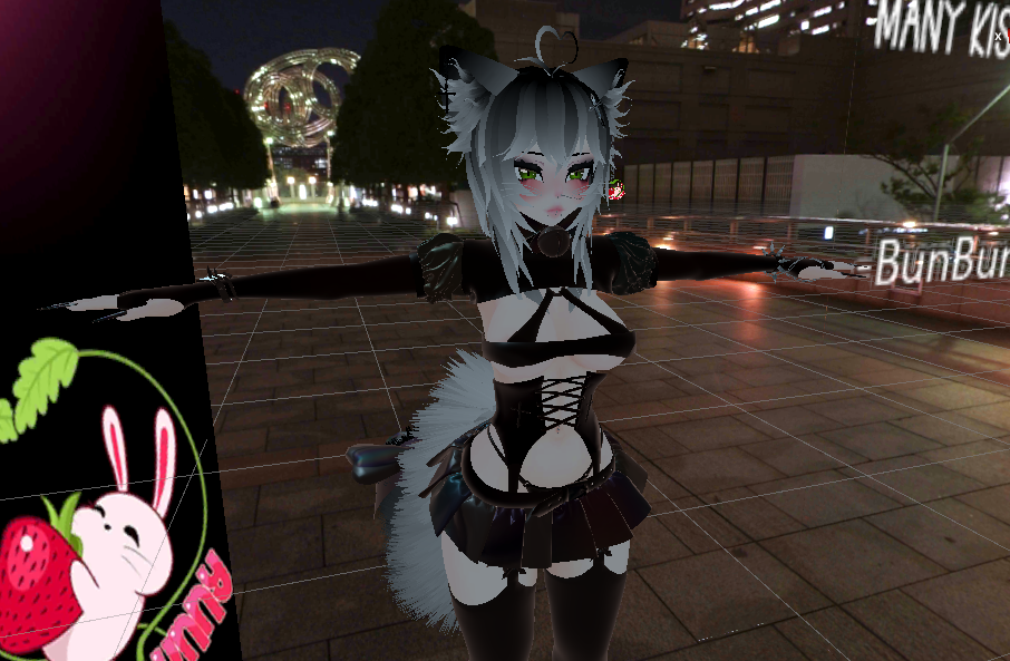 ♥ Roxy ♥《PC & QUEST》