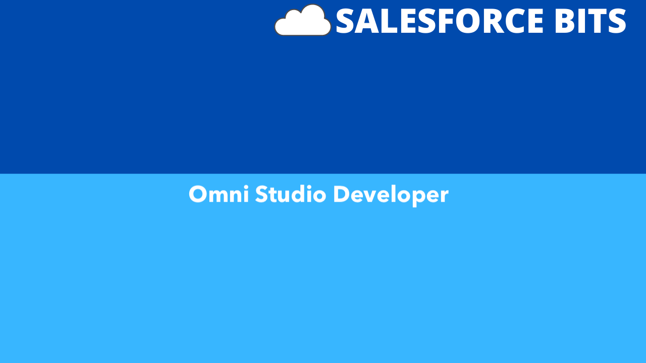 Omni Studio Developer WINTER 23 - Payhip