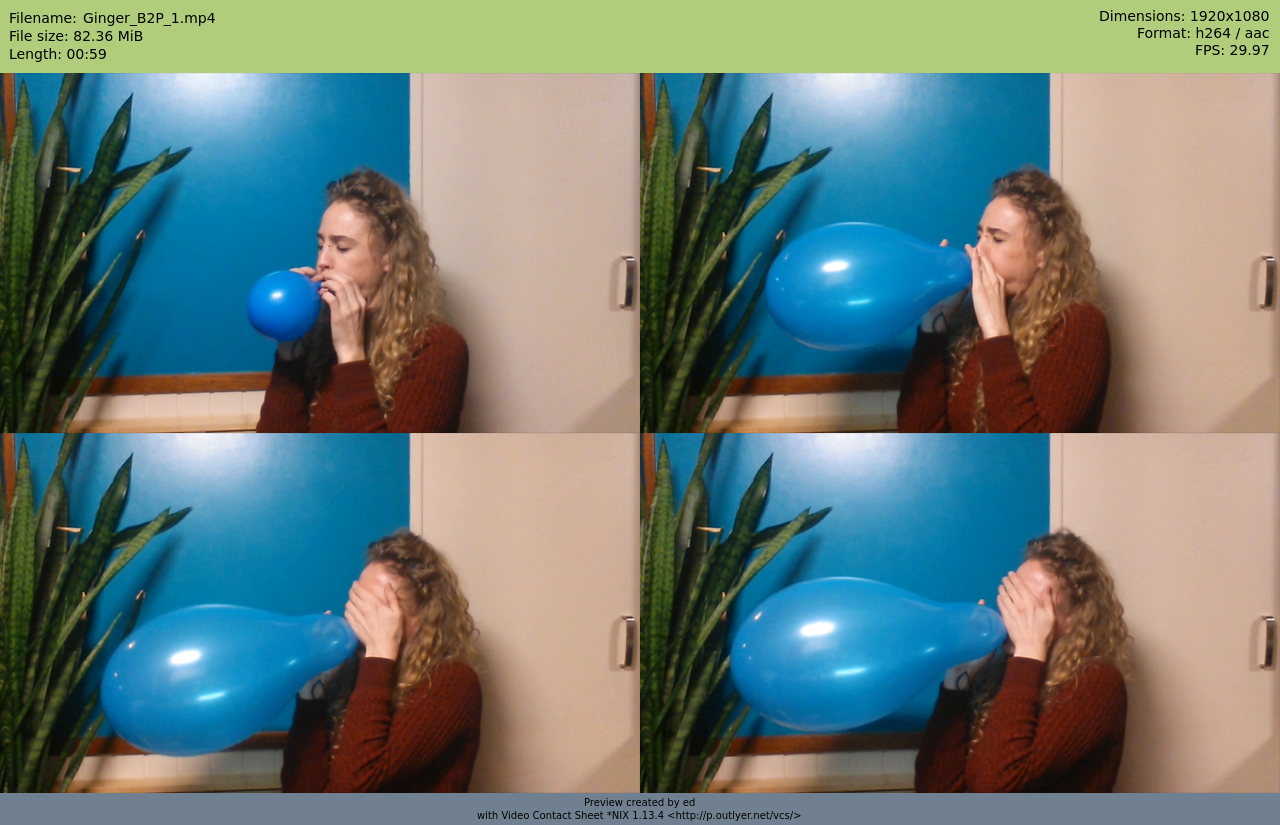 Ginger b2p 2 blue balloons - Payhip