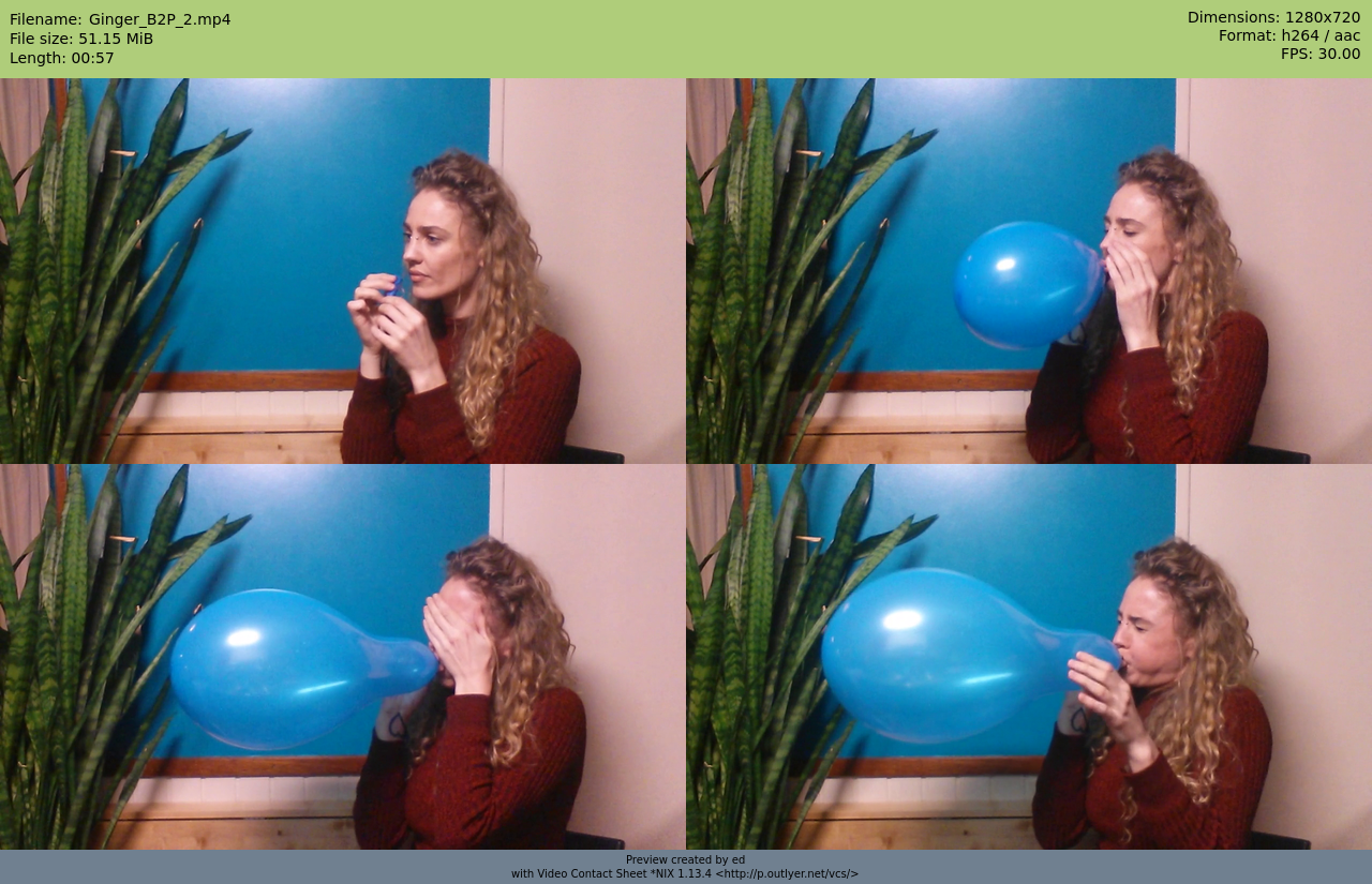 Ginger b2p 2 blue balloons - Payhip