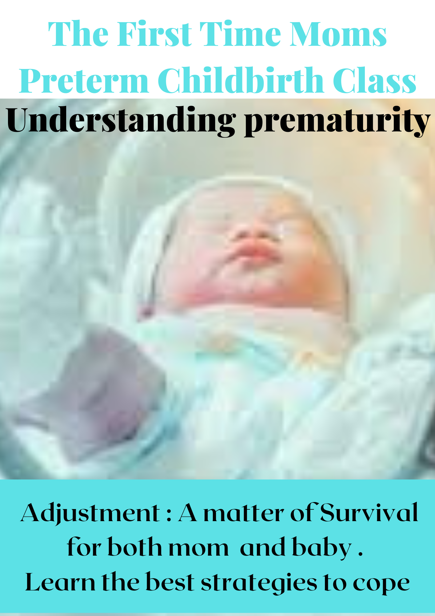 THE FIRST TIME MOMS PRETERM VIRTUAL CHILDBIRTH CLASS - Payhip