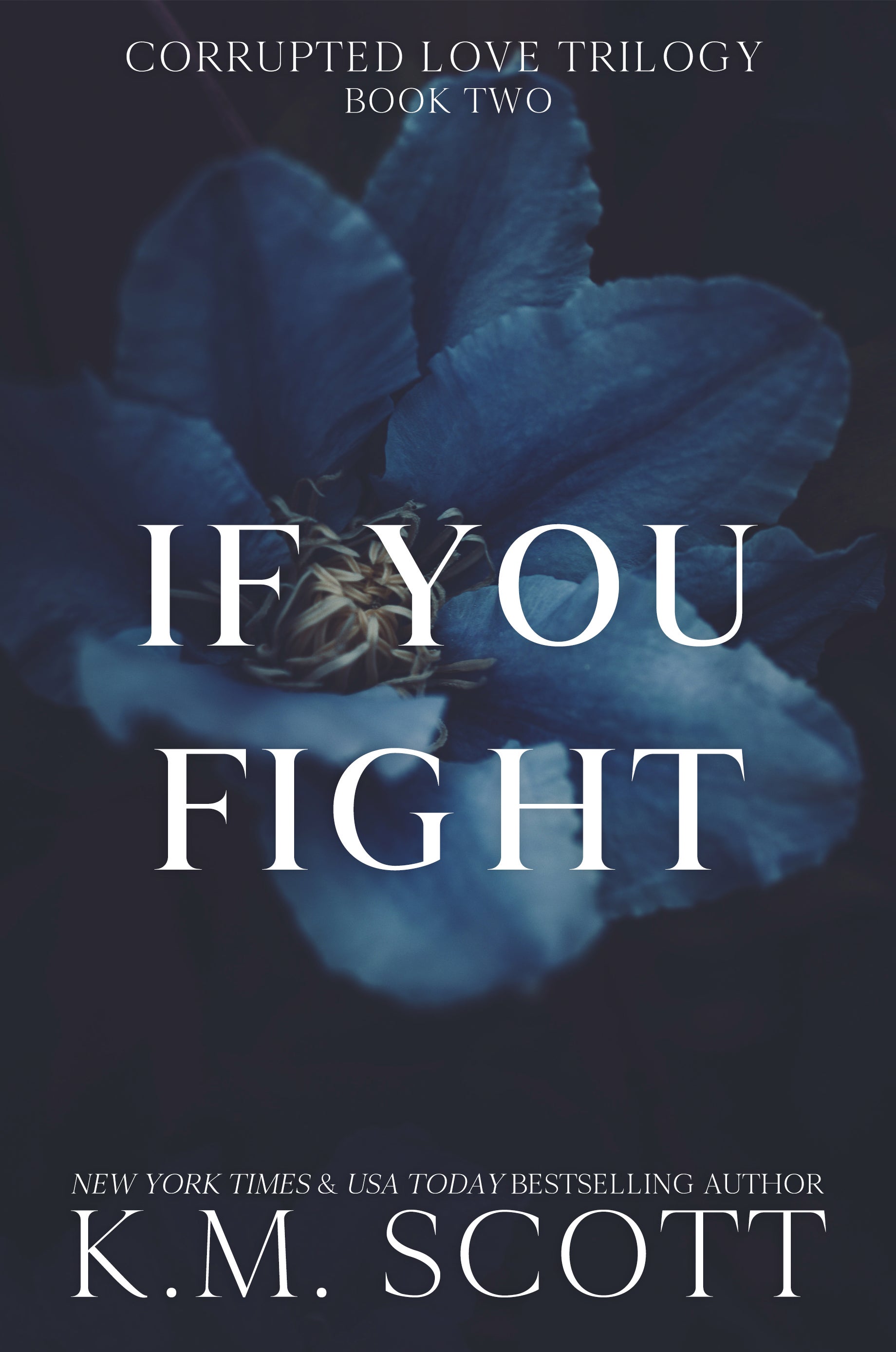 If You Fight (Corrupted Love Trilogy #2) - Payhip