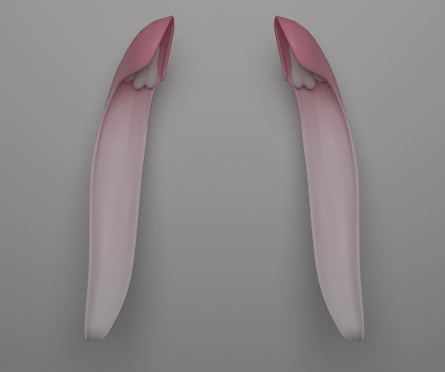 Bunny Ears with Ribbons - Payhip