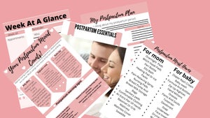 THE POSTPARTUM PLAN PNG - Payhip