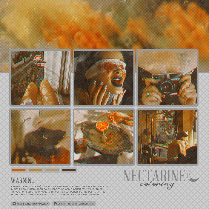 wiintermoon - Payhip