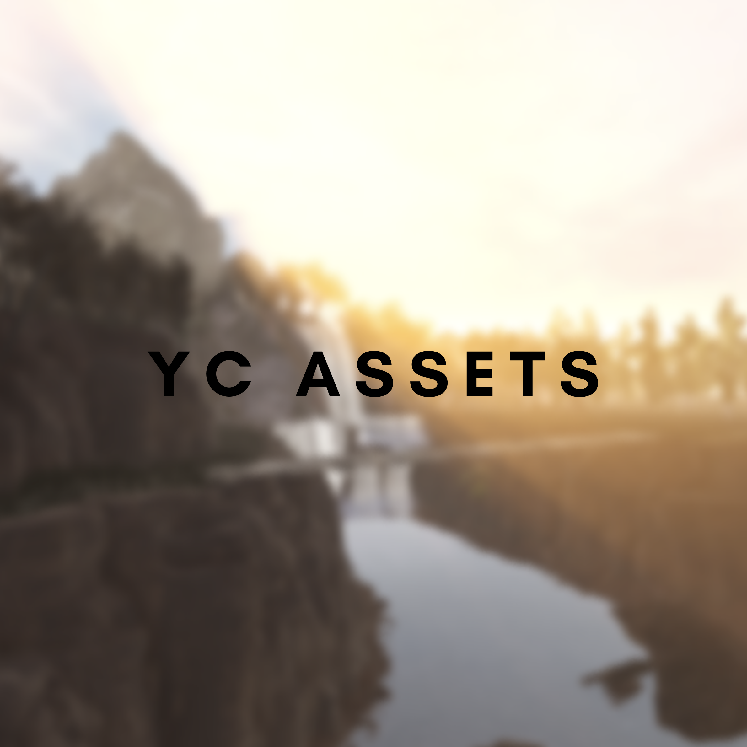 YC Assets - Payhip