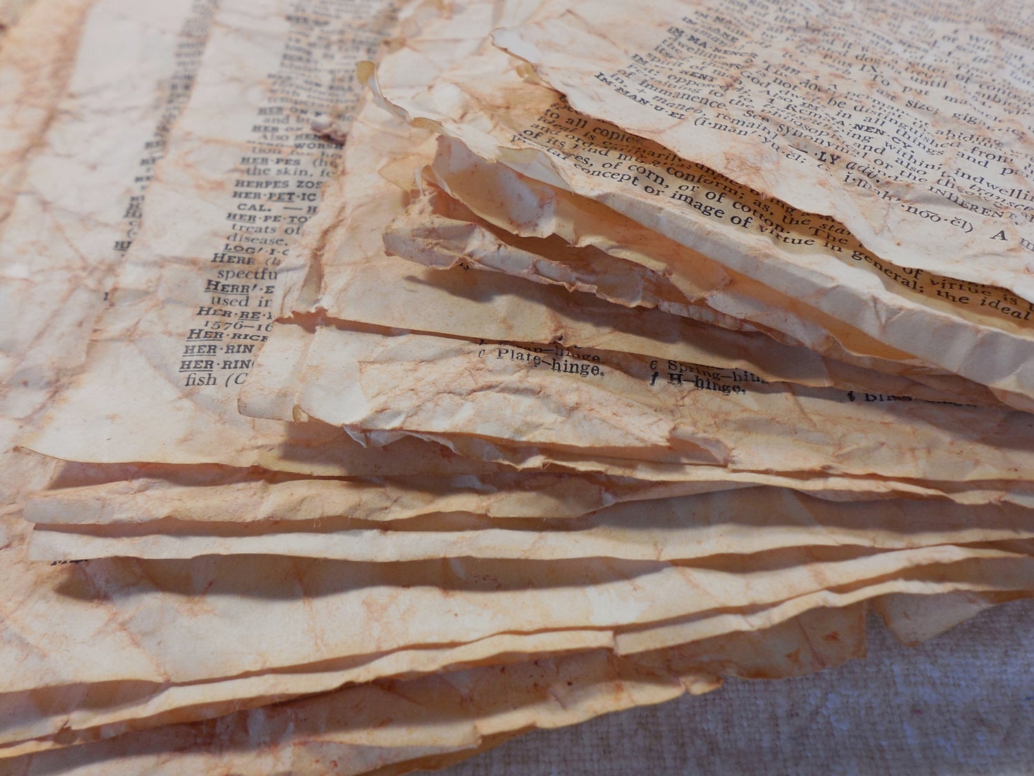 painted paper | burnt sienna - Payhip