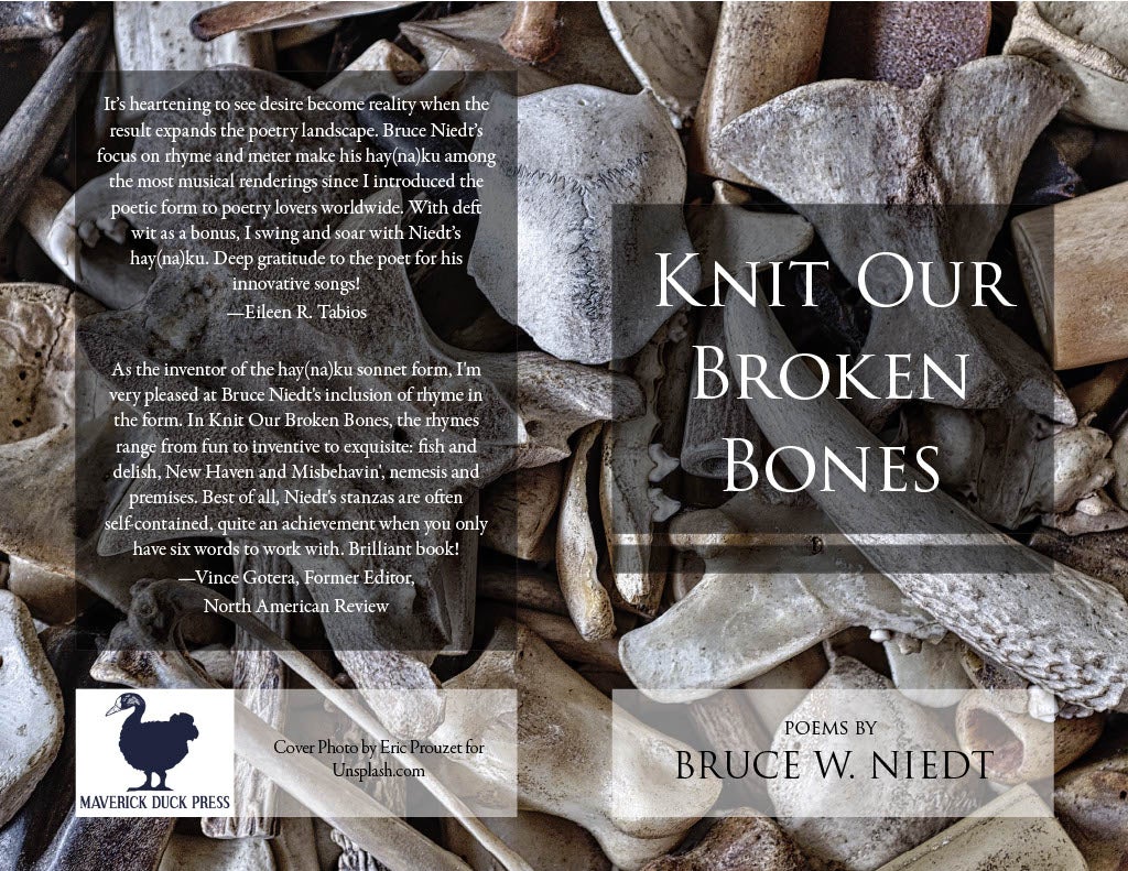 Knit Our Broken Bones by Bruce W. Niedt - Payhip