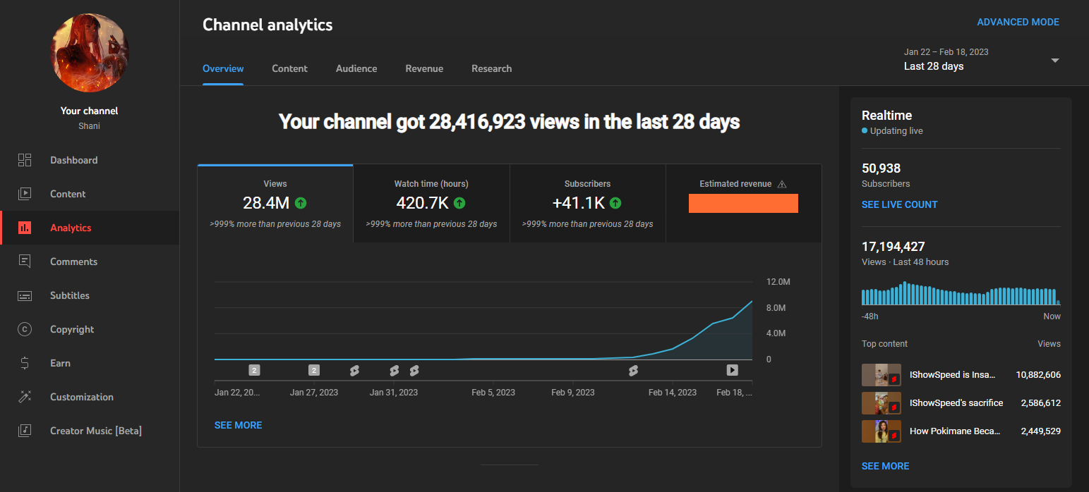 Shani 1:1 YouTube Consulting - Payhip
