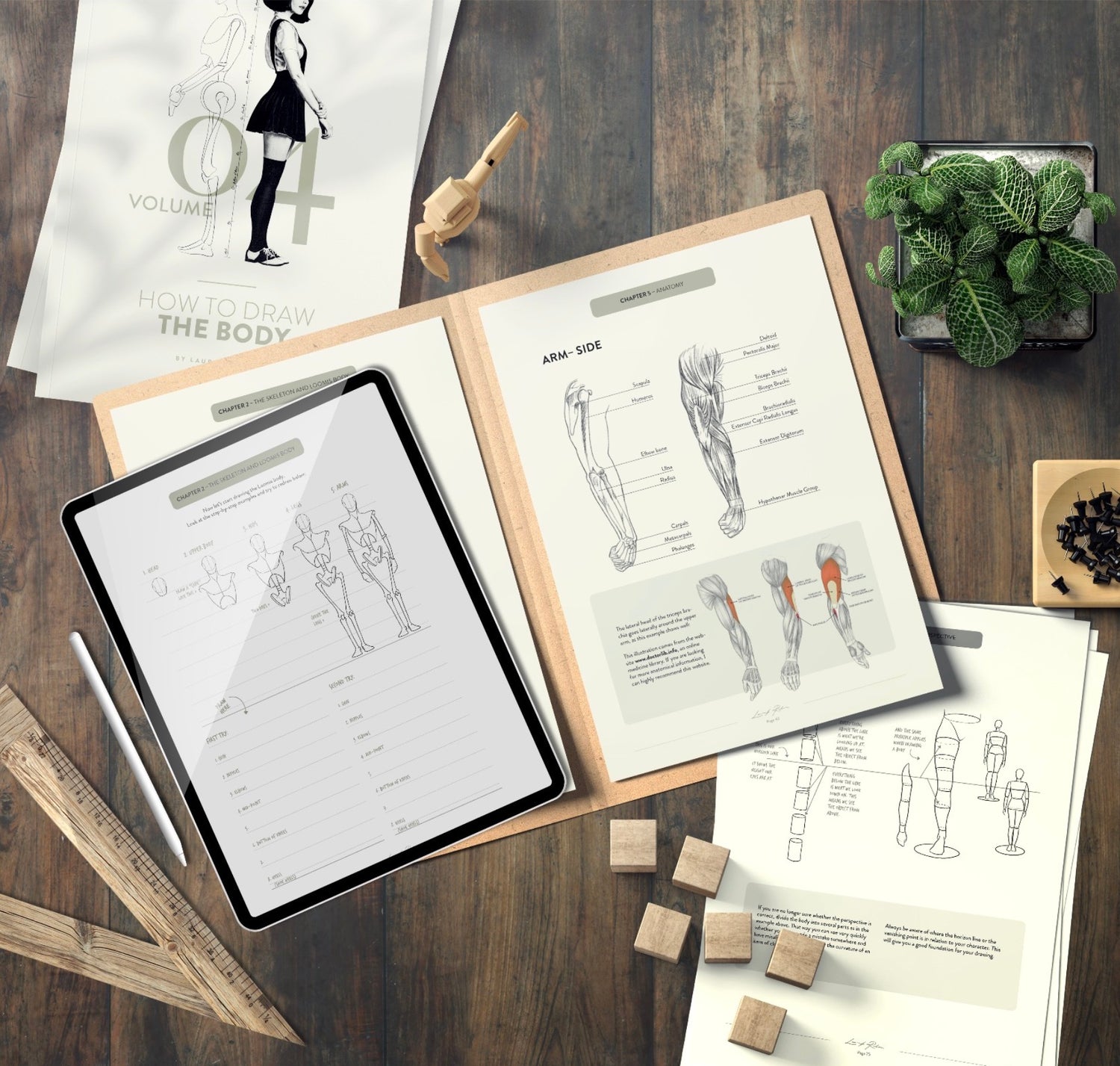 How to Draw the Body - Workbook - Payhip