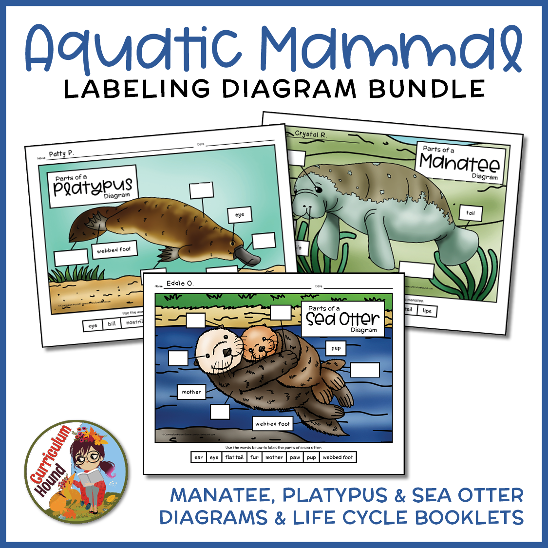 Manatee Labeling Diagram & More