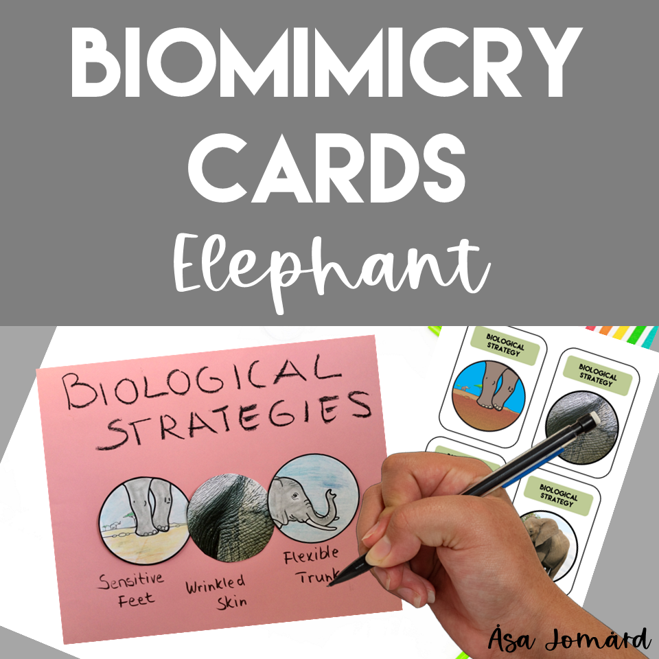 Biomimicry Cards Elephants STEAM | Biomimicry Design Compatible with ...