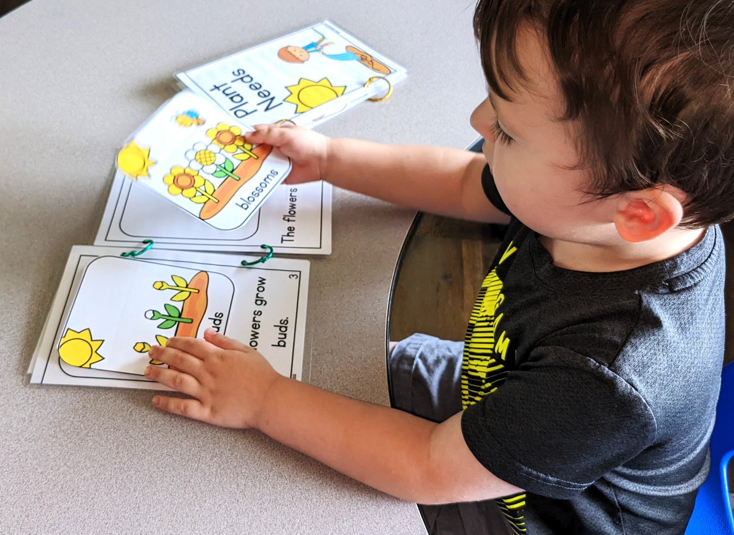 Life Science Fun 4 Young Ones Bundle - Payhip