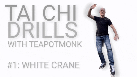 The Quiet Ninja Program